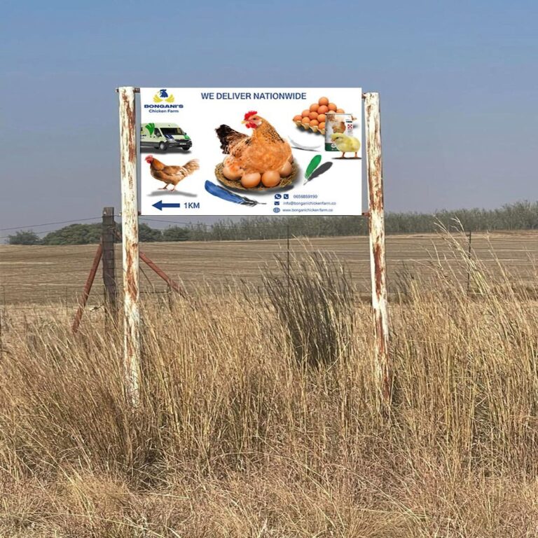 BONGANI CHICKEN FARM – nation wide delivery